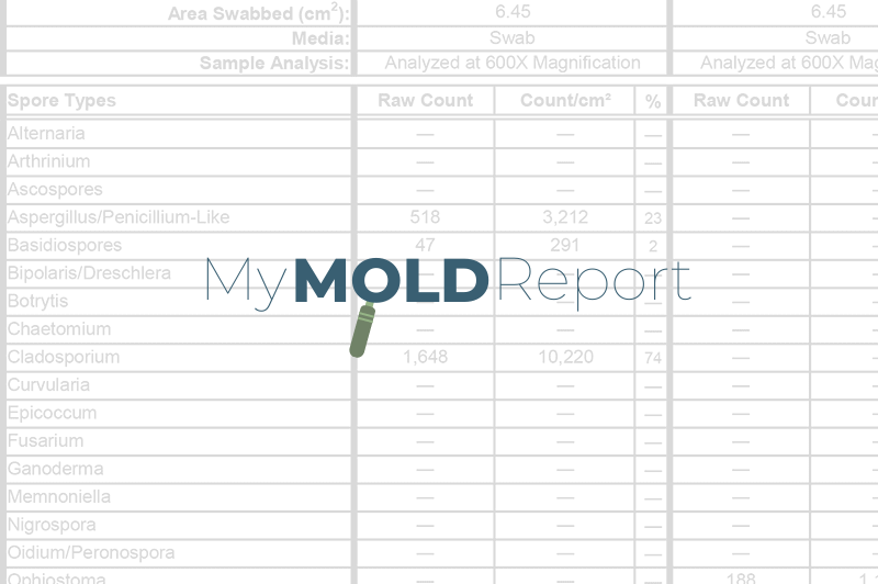 My Mold Report - Find Out What's in Your Mold Report?